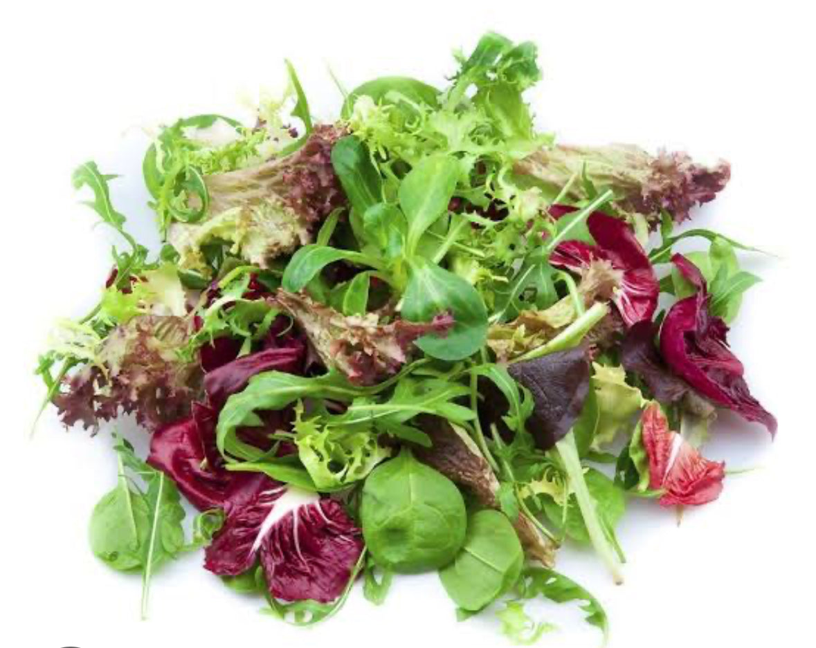 Organic Salad Mix 100g – Alpha Fresh