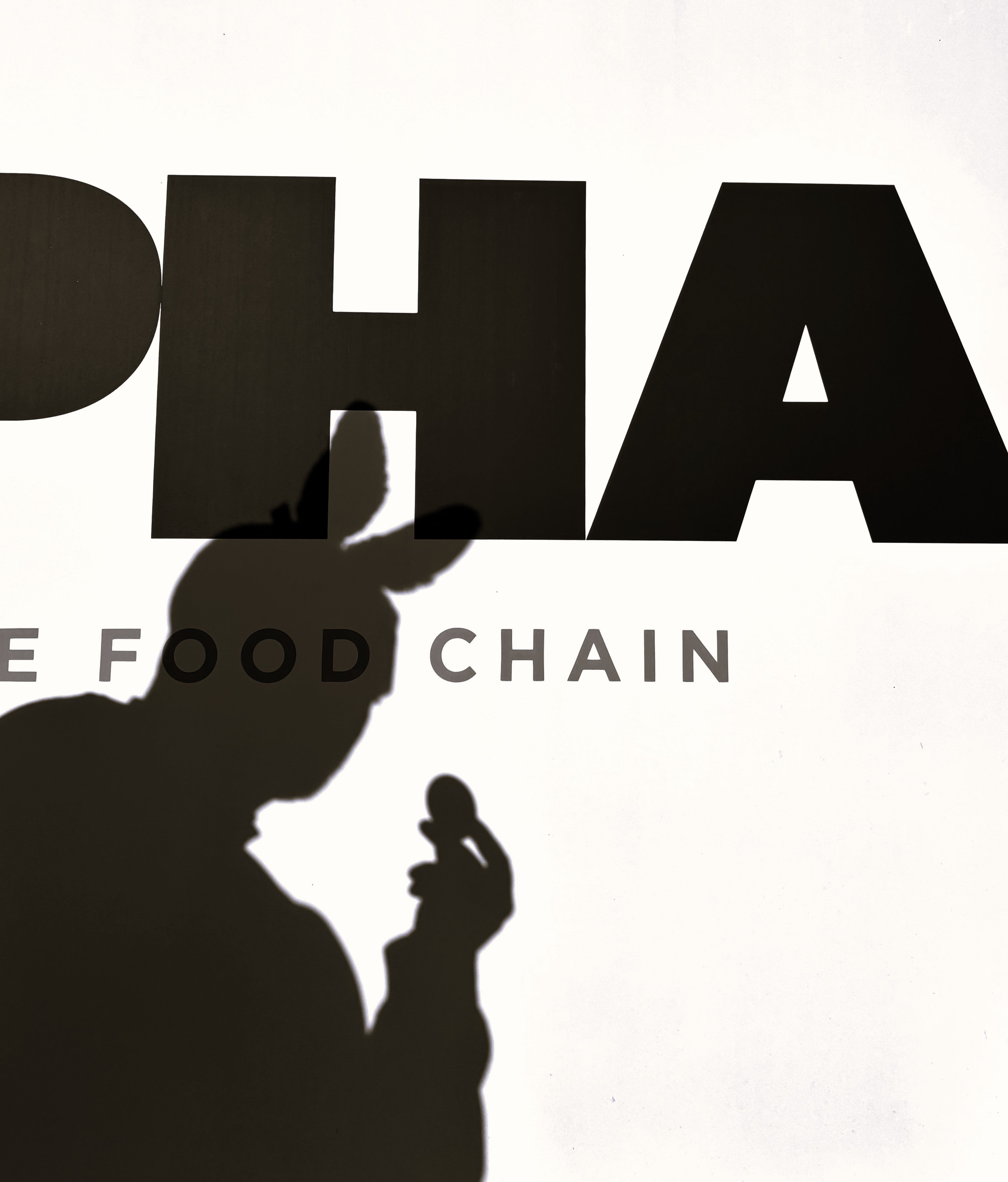 ALPHA Fresh - Canberra Home Food Delivery – Alpha Fresh