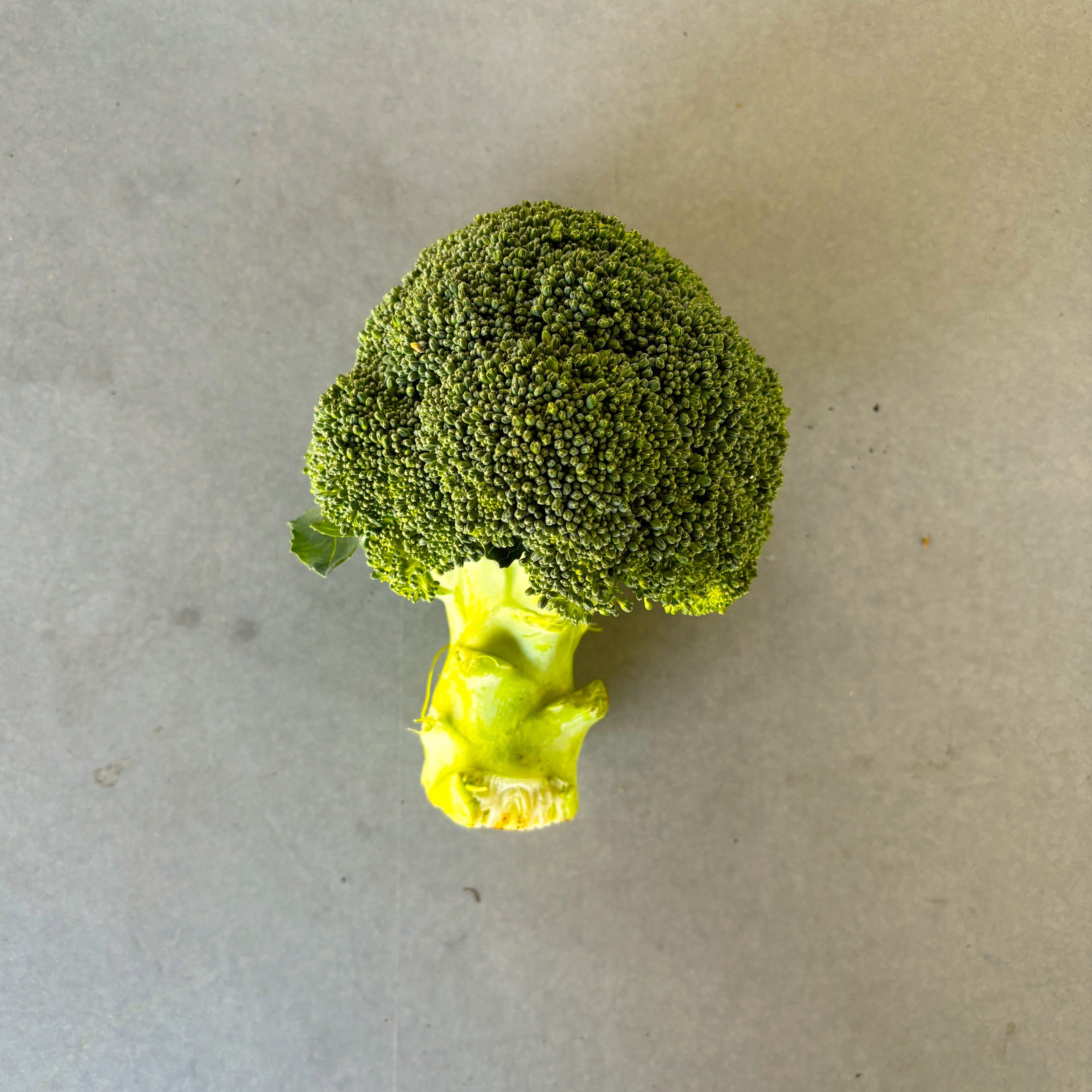 Organic Broccoli (Each) – Alpha Fresh