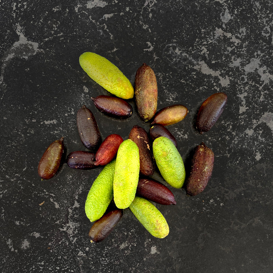 CITRUS – Alpha Fresh