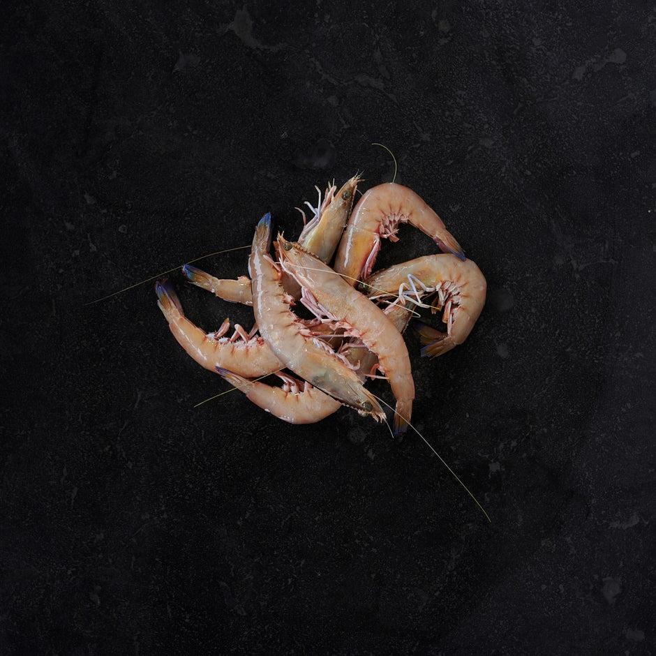 SEAFOOD – Alpha Fresh