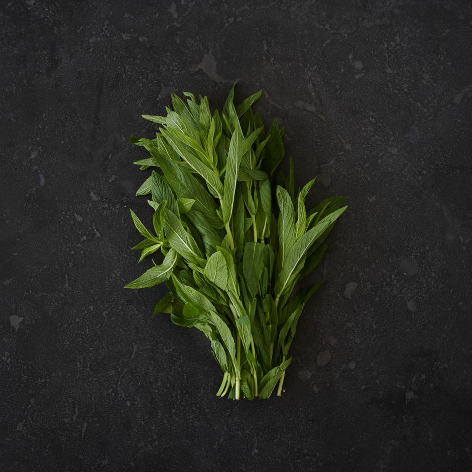 HERBS – Alpha Fresh