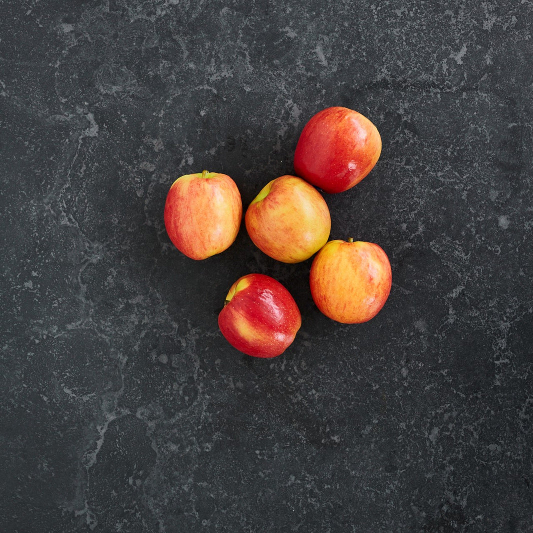 SPECIALS – Alpha Fresh