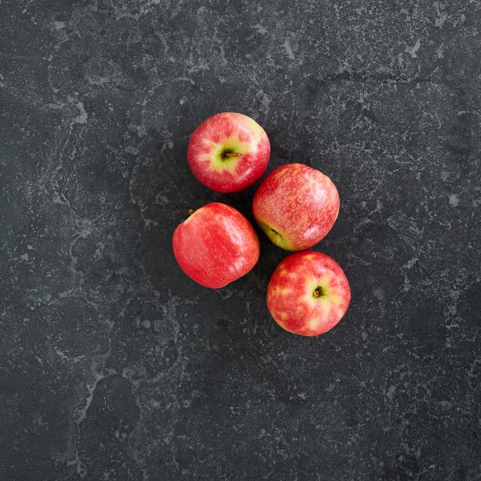 SPECIALS – Alpha Fresh
