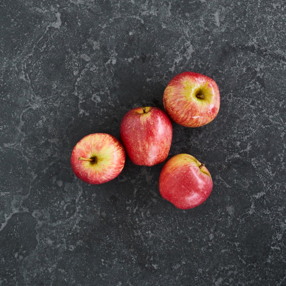 SPECIALS – Alpha Fresh