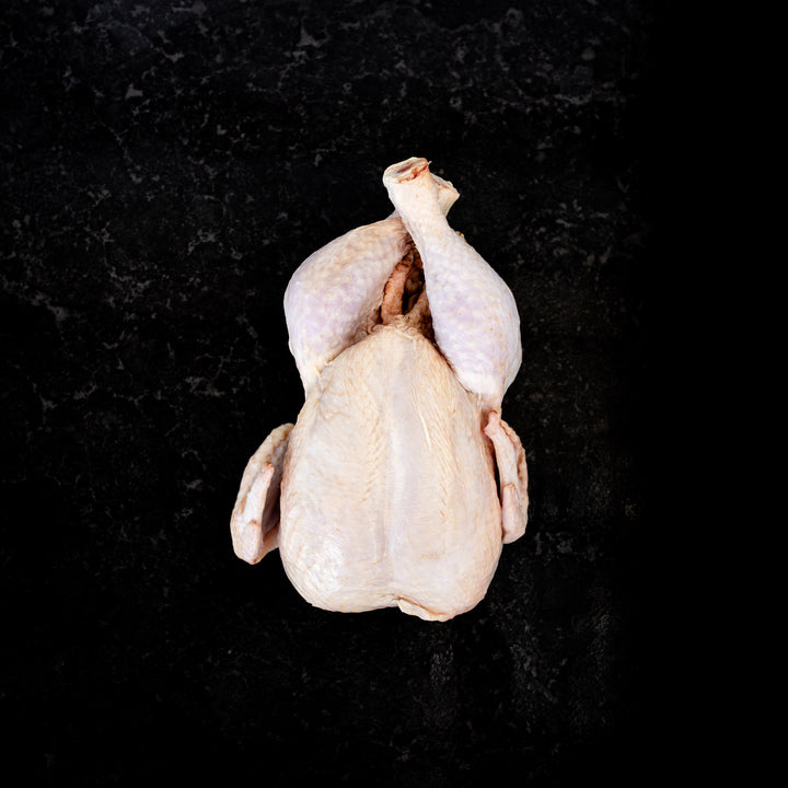 POULTRY – Alpha Fresh